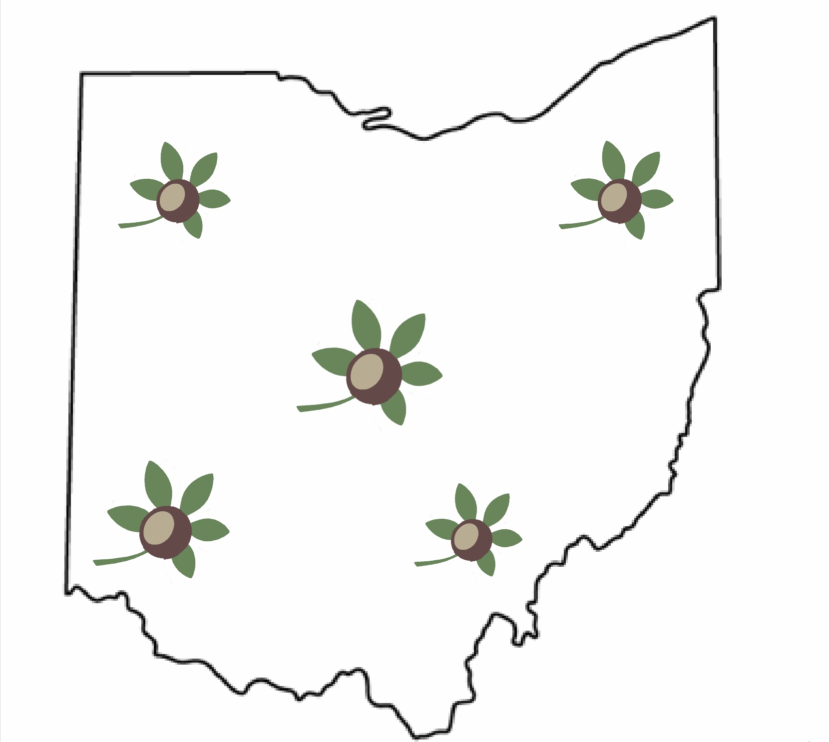 Four Corners of Ohio : Green Buckeyes