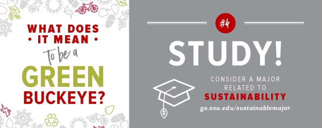 Green Buckeye Majors at Ohio State : Green Buckeyes